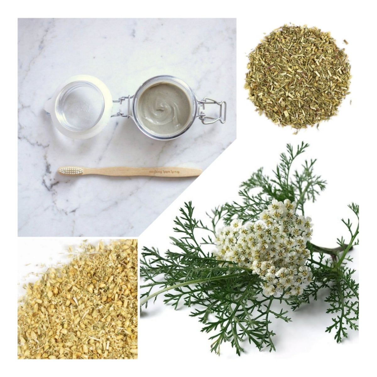 Yarrow Root Toothpaste – SLSCbyTee